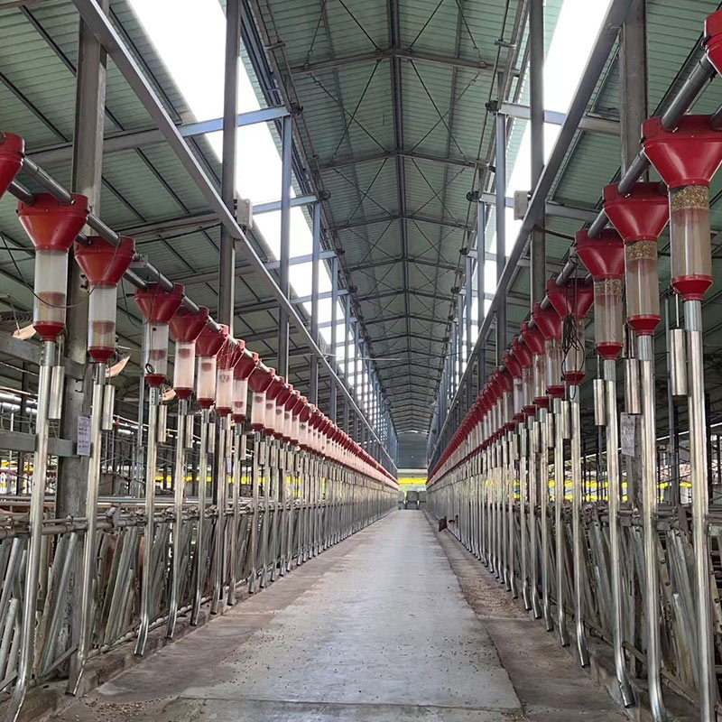 Cattle Automatic Feeder Line China factory_China manufacture_China ...