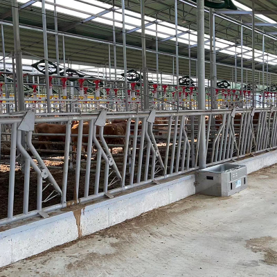 Cattle Equipment China factory_China manufacture_China supplier ...